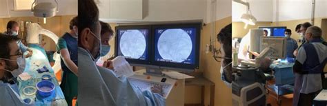 Romaric Loffroy Md Phd Fcirse Fesgar Chairman Professor Of