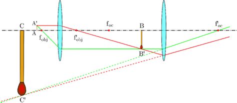 4 Montage Optique Dun Microscope De Base Constitué Dun Objectif à
