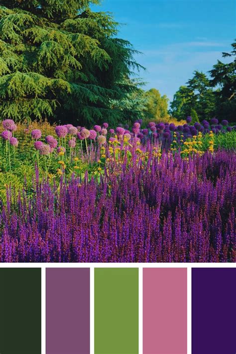 Purple And Green Color Palette Color Scheme Generator Green Colour