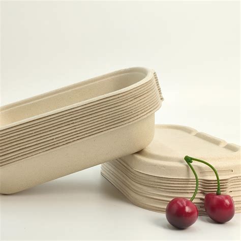 Biodegradable Boxes Sugarcane Bagasse Packaging Food Container Tiffin