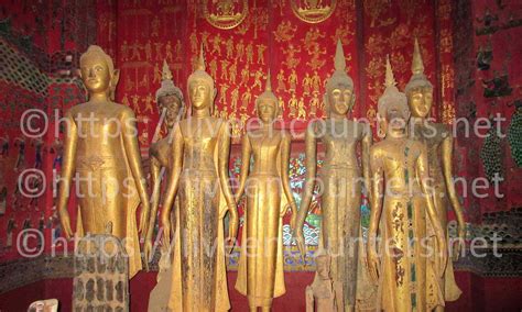 Jane Frank Incantation Live Encounters