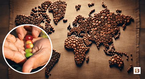 Liberica Coffee Beans A Complete Guide Bean Ground