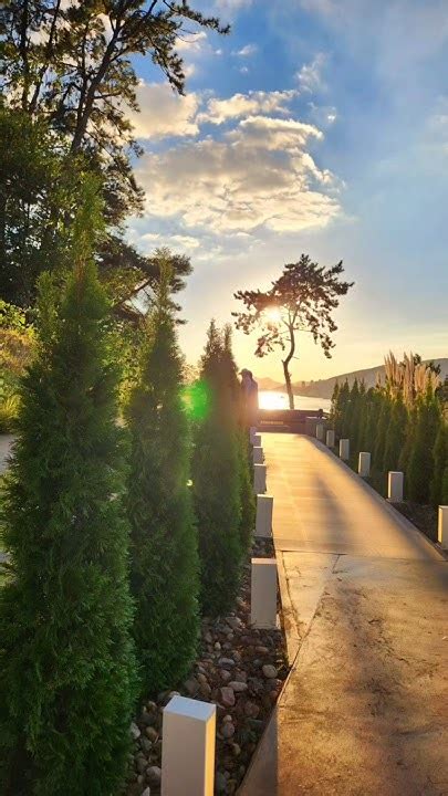 갈대밭 너머로 보이는 돌산대교와 석양이 눈부시게 아름다운 스타벅스 더여수돌산dt점 인테리어와 조경까지 신경을 써 조성한 천여평의 넓고 탁트인 바다뷰 가든 카페 Youtube