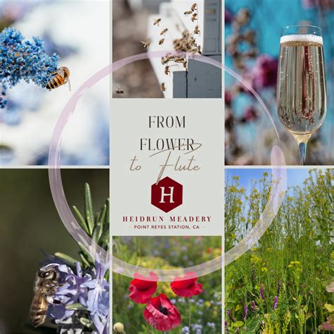 Heidrun Meadery Farm Tours Marin Convention And Visitors Bureau