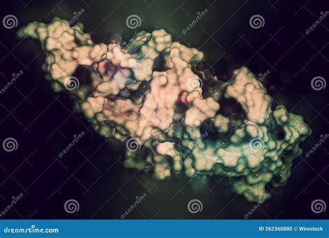 Human Chorionic Gonadotropin Hcg Glycoprotein Hormone 3d Rendering