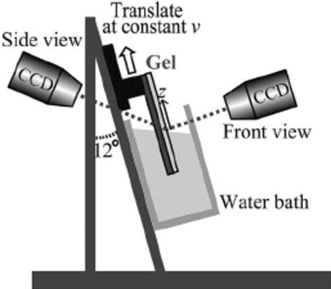A Schematic Of The Setup For The Dip Coating Experiment The Substrate Download Scientific