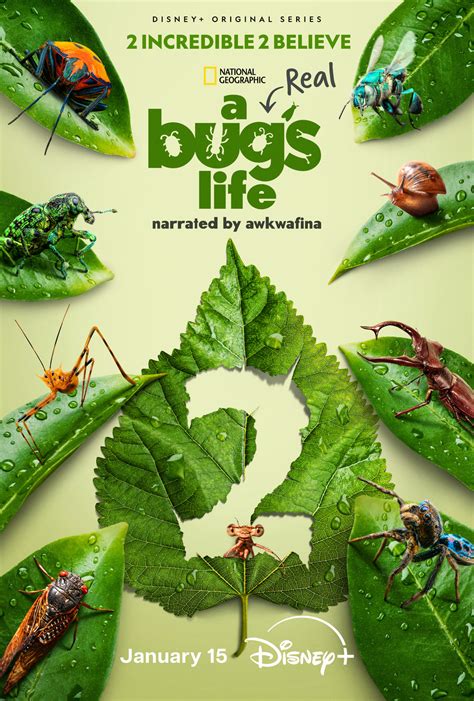 A Real Bugs Life 8 Of 13 Extra Large Tv Poster Image Imp Awards