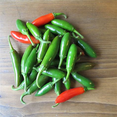 Hidalgo Serrano Hot Pepper Organic Seeds Hudson Valley Seed Company