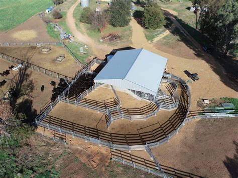 Reasons To Invest In A Yard Cover Beef Central Beef Central