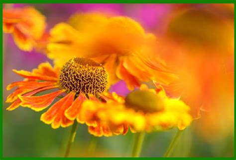 How To Design Cpc Binary Barcode Label Barcode Technology And Barcode