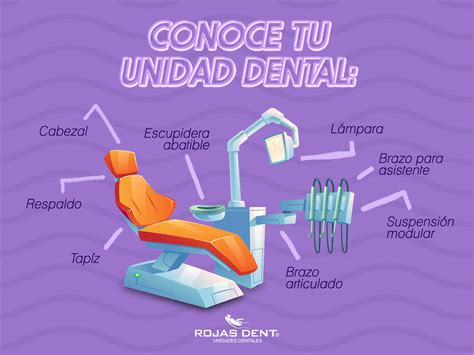 Conoce Las Partes De Tu Unidades Dentales Rojas Dent Facebook