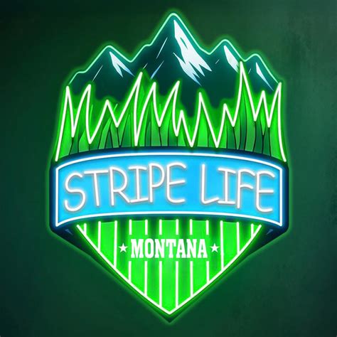 Dixie Chopper 𝗧𝗵𝗲 𝗳𝗿𝗮𝗺𝗲 𝘁𝗵𝗮𝘁 𝘀𝘁𝗮𝗿𝘁𝗲𝗱 𝗶𝘁 𝗮𝗹𝗹 The 6 Rail Frame Design On Our Industrial Models