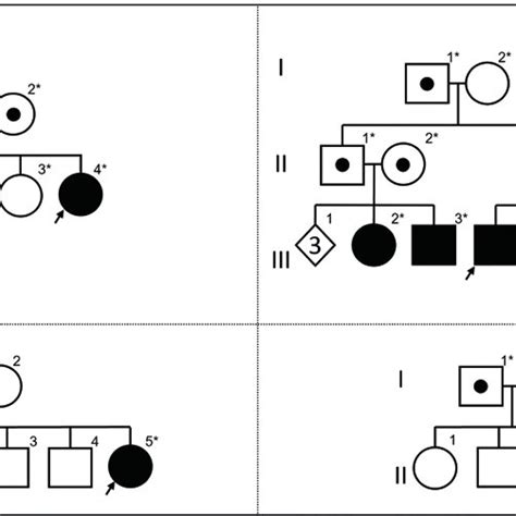 Sequencing Analysis Results And Genealogies Of G6pc3 Mutation Positive