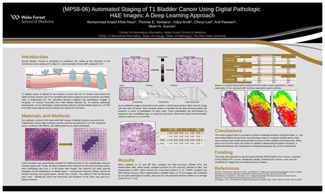 Pdf Mp58 06 Automated Staging Of T1 Bladder Cancer Using Assets