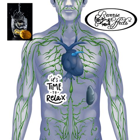 Post Massage Lymphatic Drainage Protocol Reverse Effects Reverse