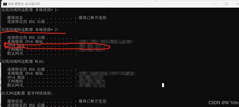 Flutter连接127001报错咋办the Connection Errored Connection Refused This