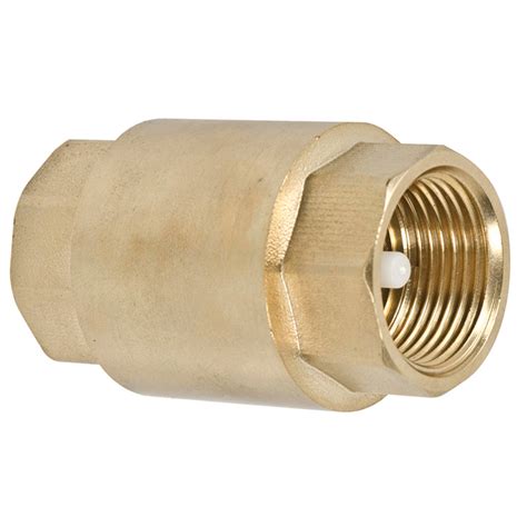 Spring Check Valve