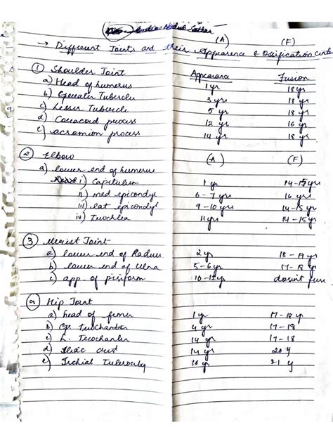 Age Identification Pdf