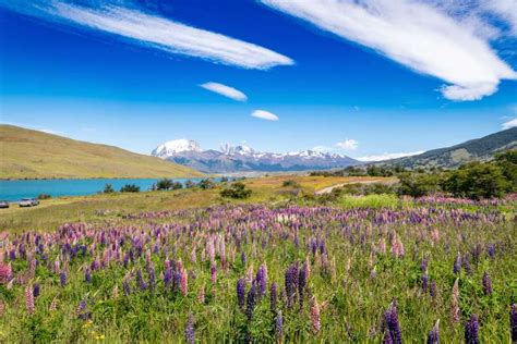 Buenos Aires To Patagonia How To Travel Bookmundi