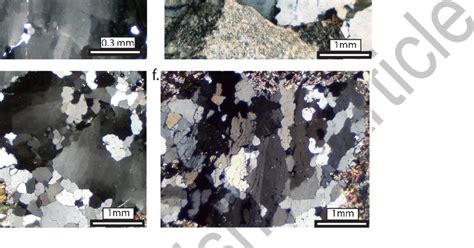 A C Photomicrographs Showing Variations Quartz Microstructures In