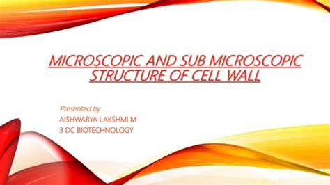 Microscopic And Sub Microscopic Structure Of Cell Wall Pptx