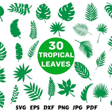 Palm Leaf Party Etsy