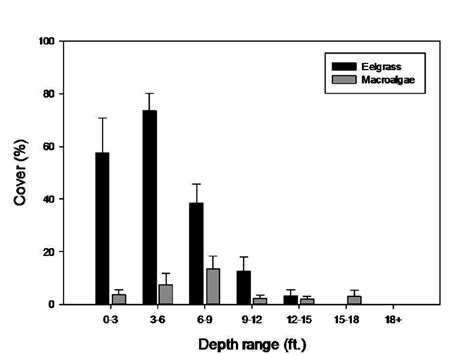 Cover Of Eelgrass And Total Macroalgae Across Different Water Depths At