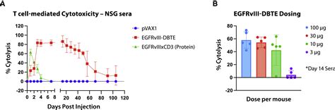 Multivalent In Vivo Delivery Of Dna Encoded Bispecific T Cell Engagers Effectively Controls