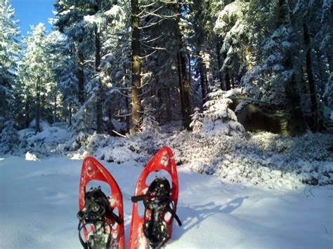 Fichtelgebirge Snowshoe Hike