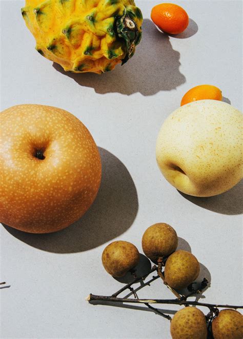 Book An Appointment Leedervillevirtual — Katie Lenhoff Nutrition