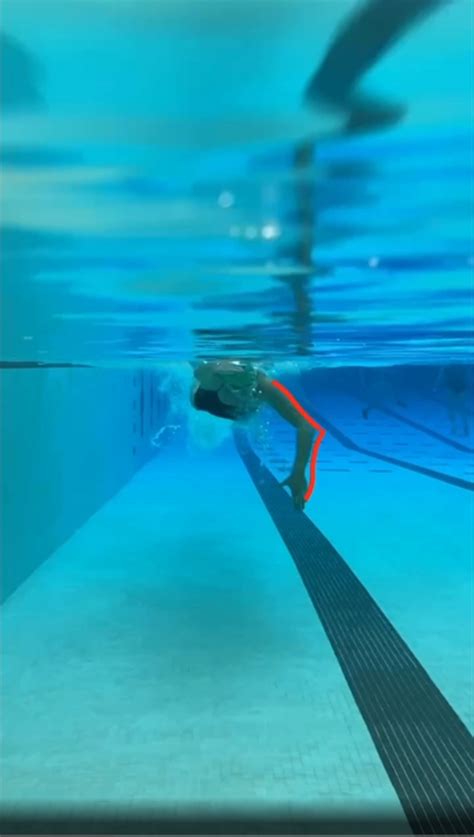Swim Video Analysis Mercury Rising Triathlon