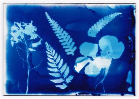 Cyanotype Process On Glass And Ceramic Maverick Beyond Blue