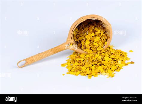 Cork Tree Bark Cortex Phellodendri Huang Bo Huang Bai Cut Out