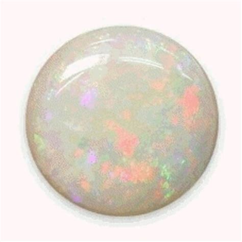 Shivani Dhiman Csk Hpkv Palampur Pālampur Department Of Food