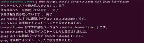 Ubuntu 22042 Lts にdockerをインストールする手順【初心者向け】 ミライサーバーのススメ