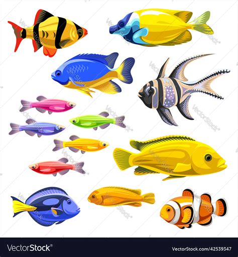 A Set Of Colored Fish Royalty Free Vector Image