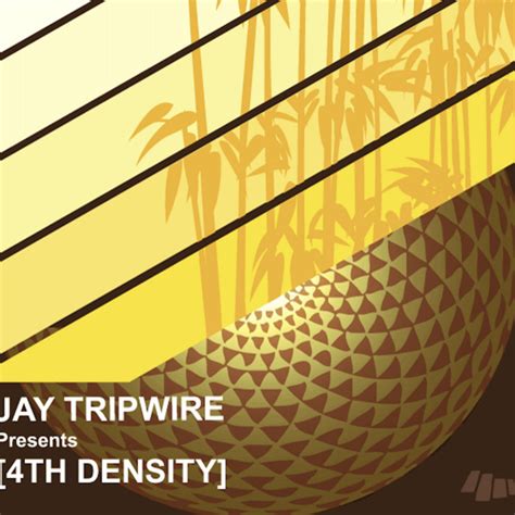 Jay Tripwire Presents 4th Density Seasons Recordings