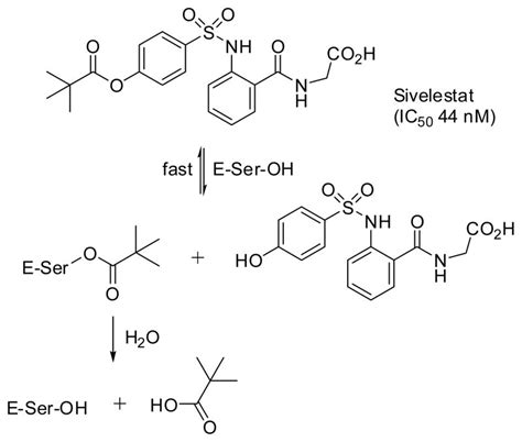 Neutrophil Elastase Inhibitors Pmc