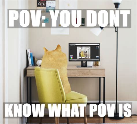 14 Pov Memes To Give You A New Perspective Know Your Meme