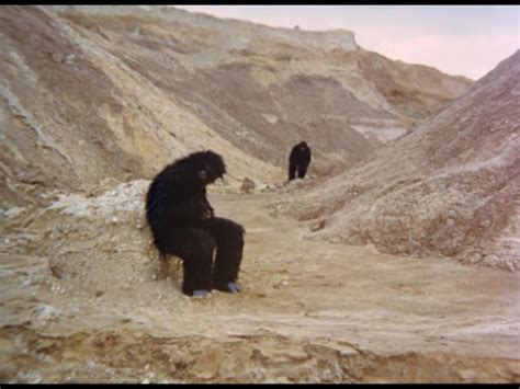 Sex Through The Ages 1974