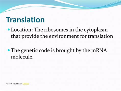 Gene Prediction And Expression Pptx