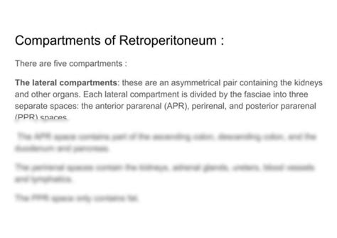 Solution Anatomy Of Retroperitoneum Radiology Important Lecture Slides