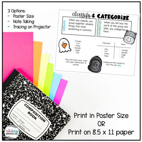 Classify And Categorize Anchor Chart A Teachers Wonderland