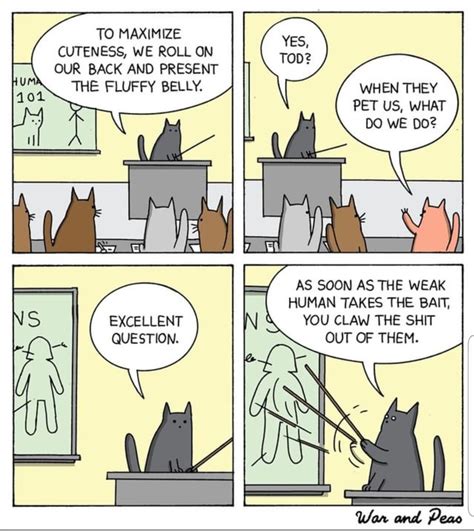 Bubblesirl Rbubblesirl