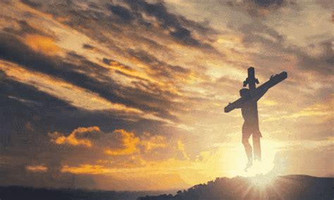 Tenha A Bíblia Sagrada Sempre Contigo Blog Glooum