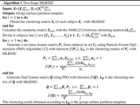 A Novel Two Stage Multi View Low Rank Sparse Subspace Clustering