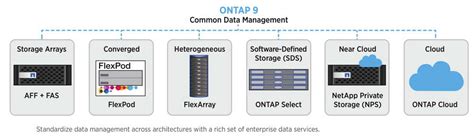 NetApp Unveils Hyperconverged Enterprise Scale Solution StorageNewsletter