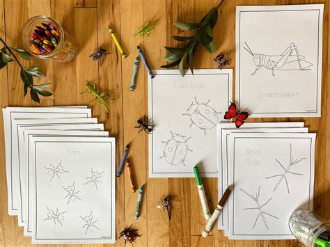 Bug Unit Science Pack Etsy