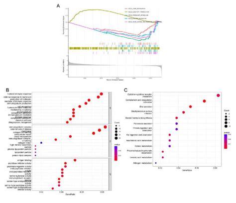 Gseago And Keeg A Gsea Enrichment Analysis Demonstrated That Lysine