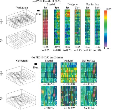 Spatial Sp And Extended Spatial Sp Models For Variables With